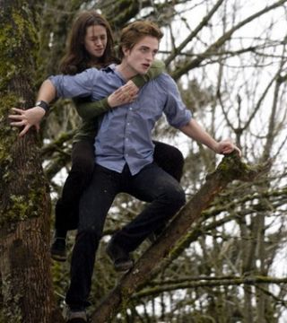 Edward Y Bella En El Bosque