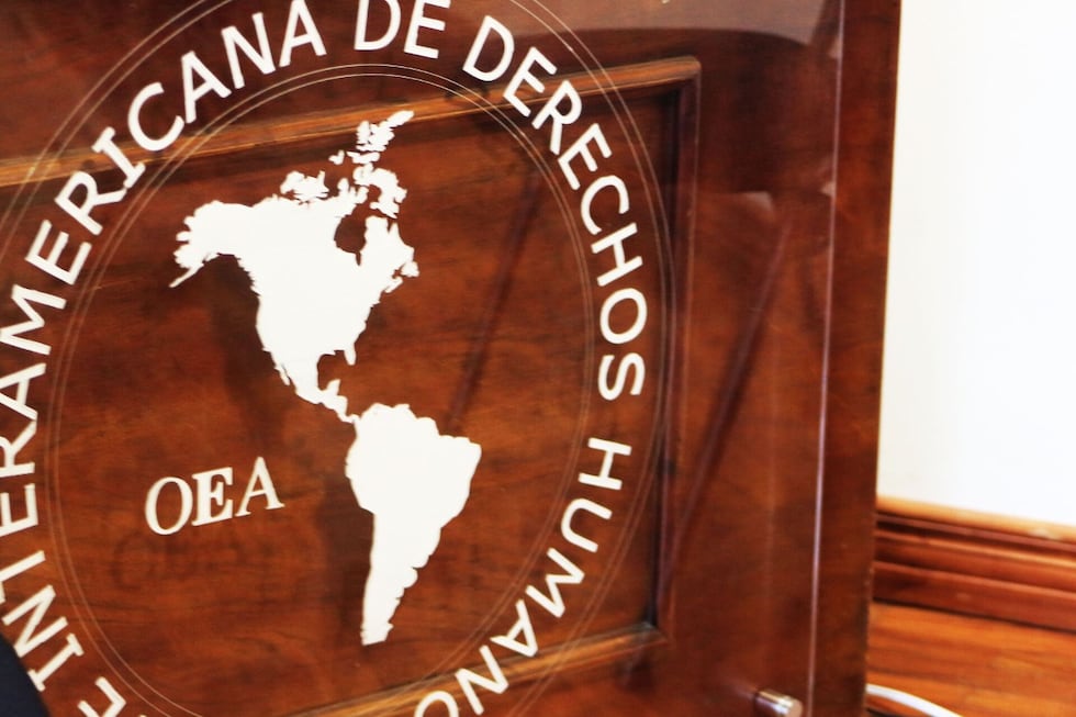 Violencia obstétrica: Argentina deberá indemnizar por la muerte de ...