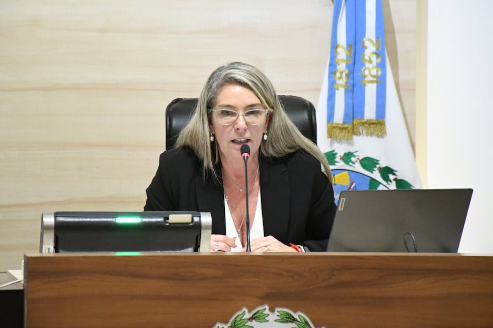 Rosario reclama la Bandera de Macha – Página|12