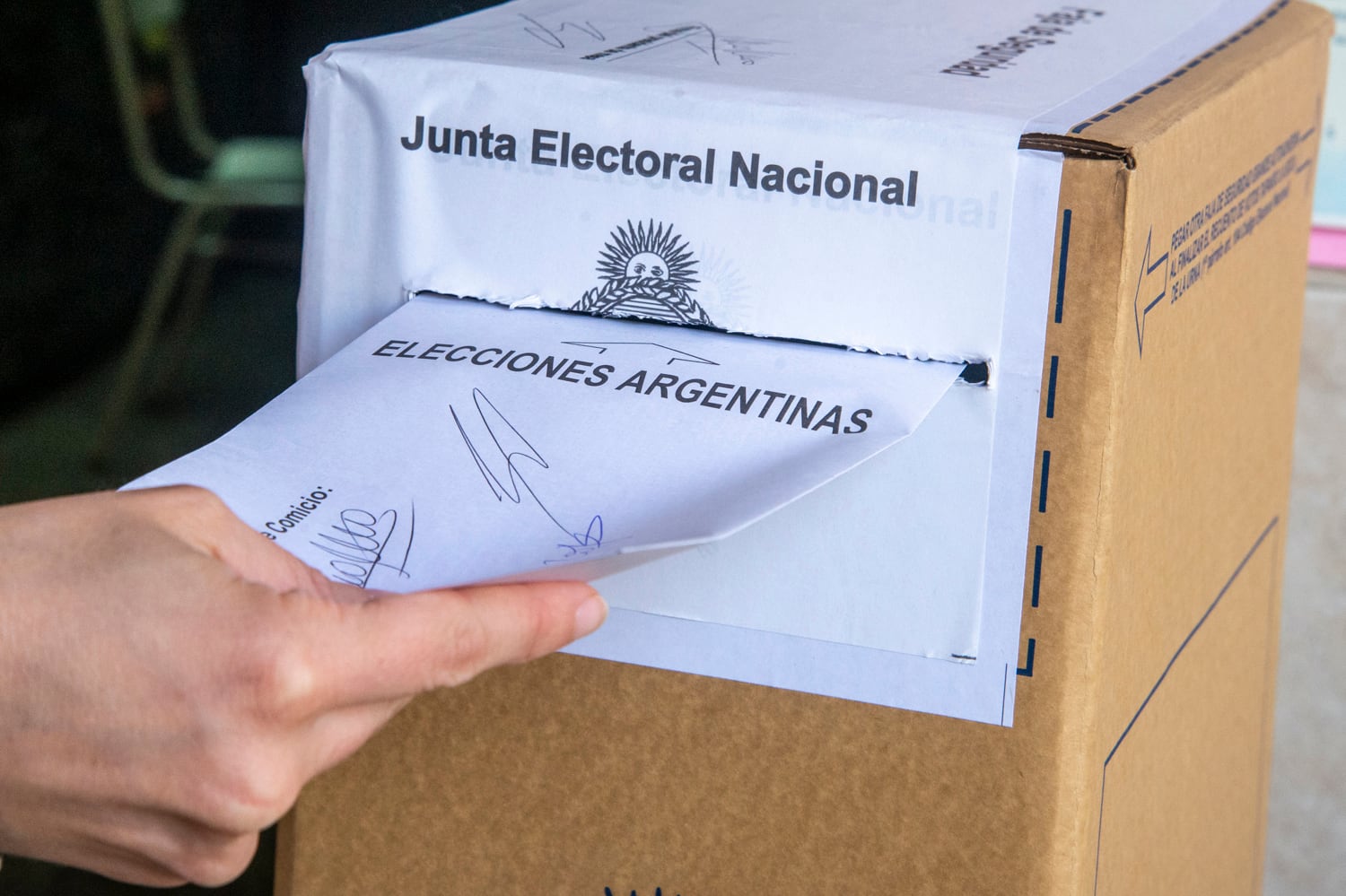 Dónde voto en Río Negro en las PASO 2023: consultá el padrón electoral ...